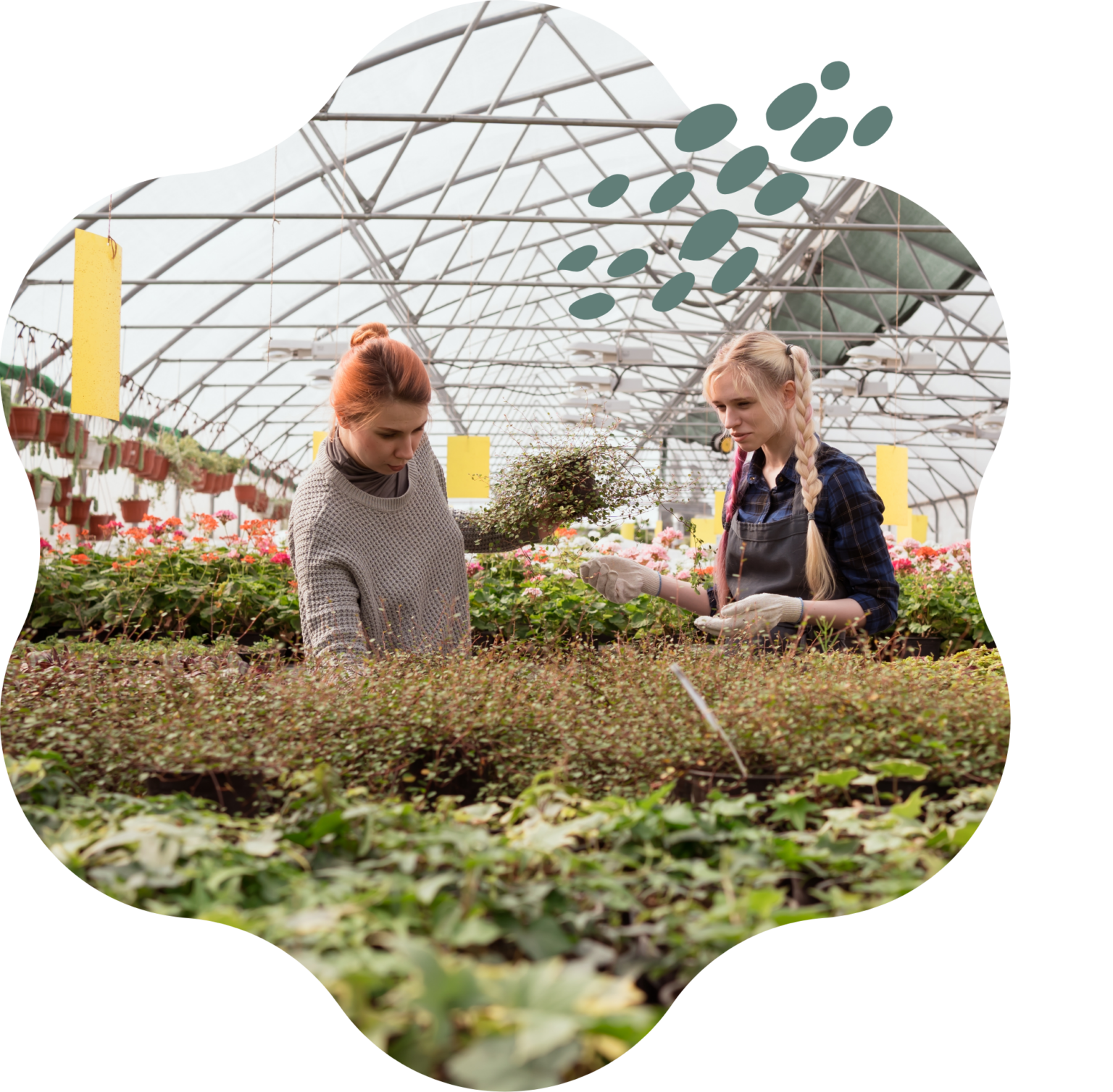 Home - Garden Footprints