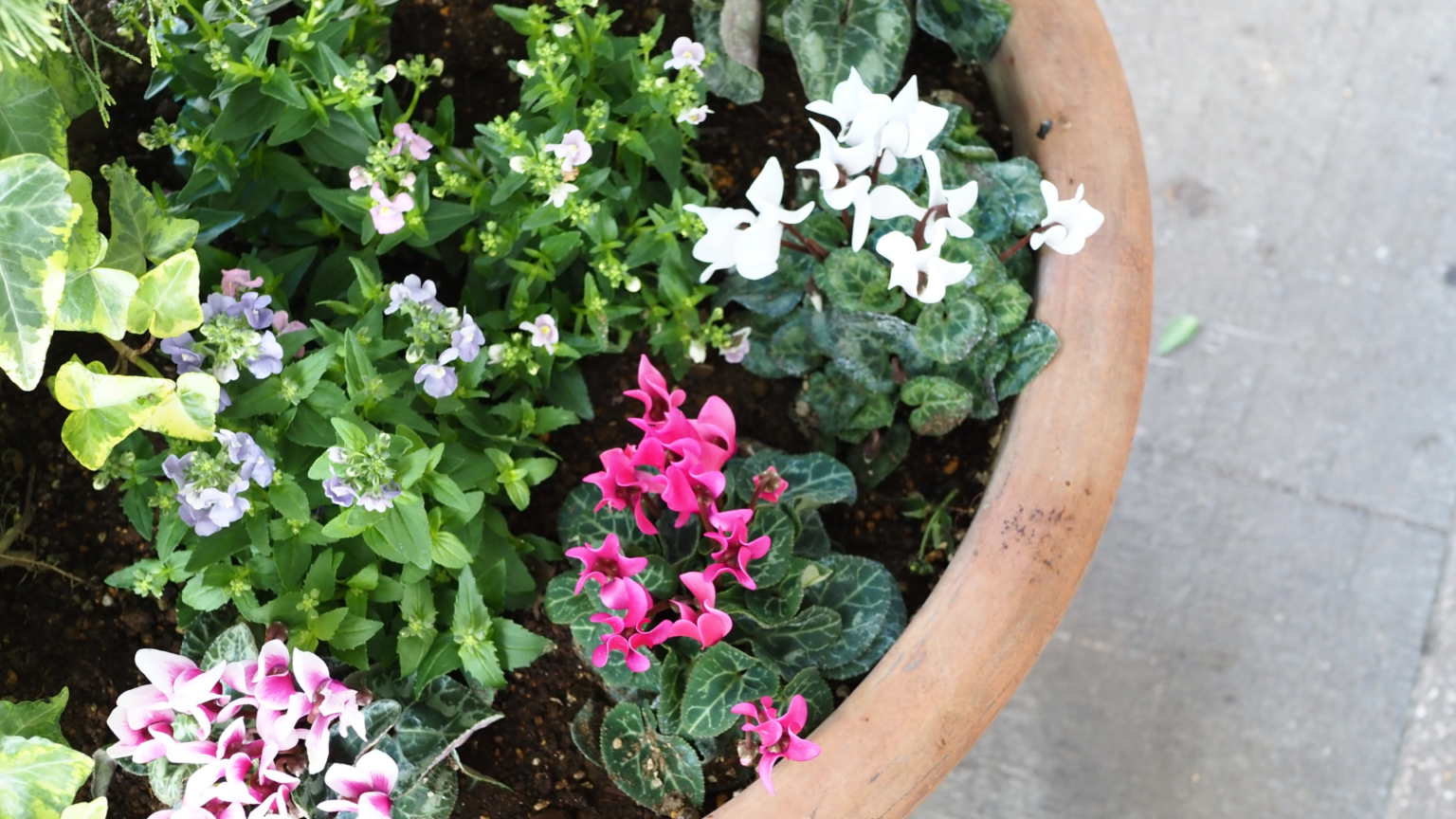 Home - Garden Footprints